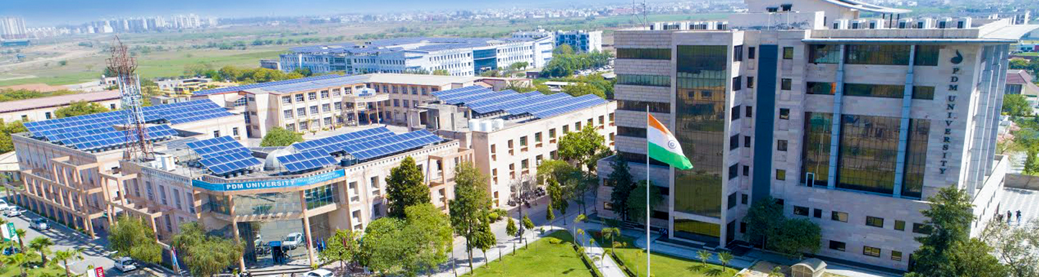 Jakson Key Projects: Solar, BESS & Microgrid Solutions